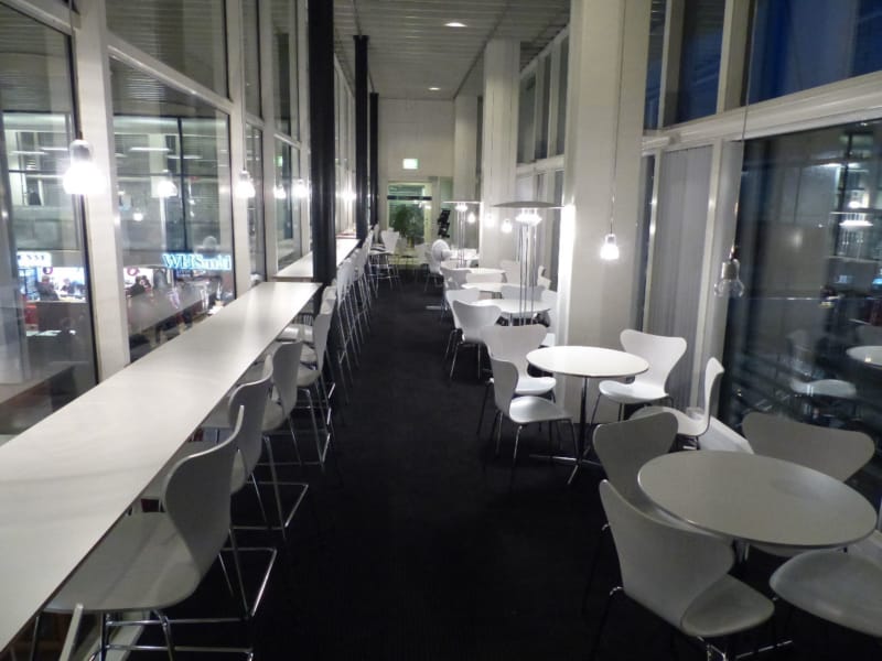 Lounge Review: Carlsberg Aviator Lounge – CPH – LoungeReview.com